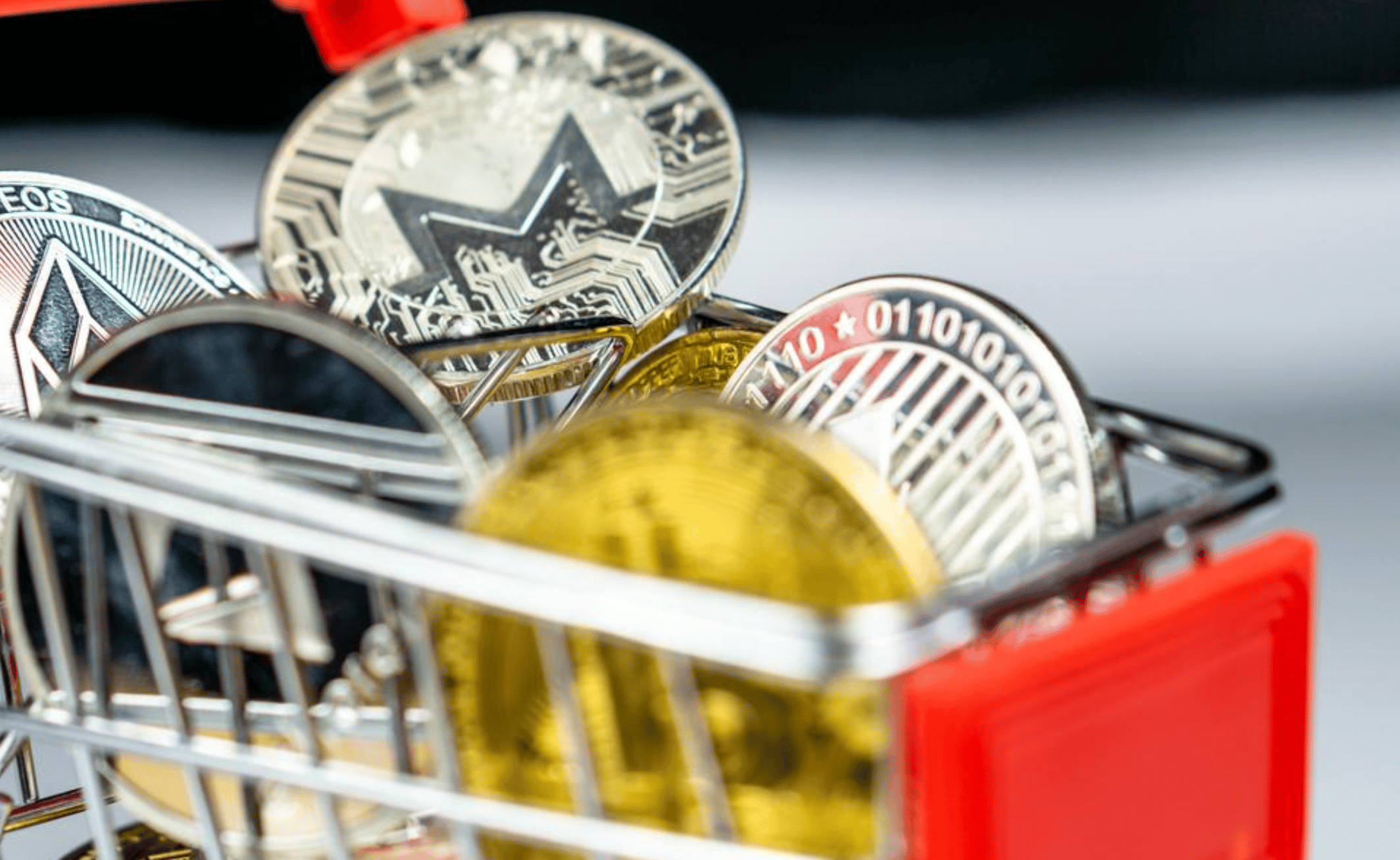 Should You Invest In Altcoins? Everything You Need To Know