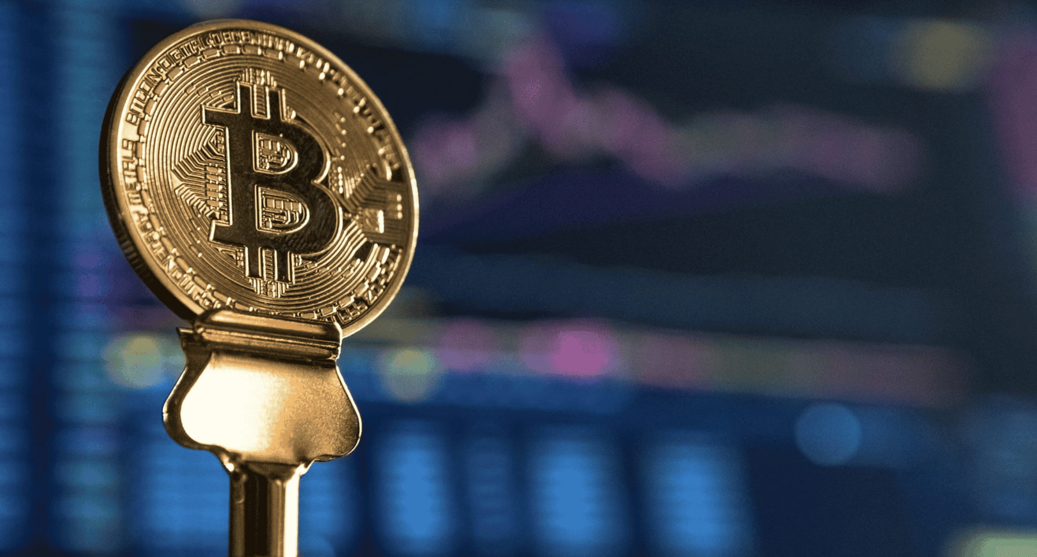 What Are Stablecoins? A Beginner's Guide To The World Of Digital Currency