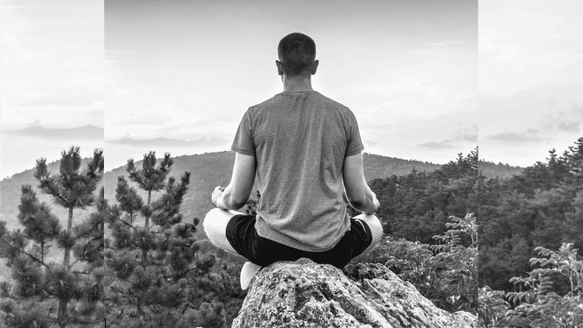 Seth Taube sees Traditional and New Models of Healing as Key to Mental Health Improvements