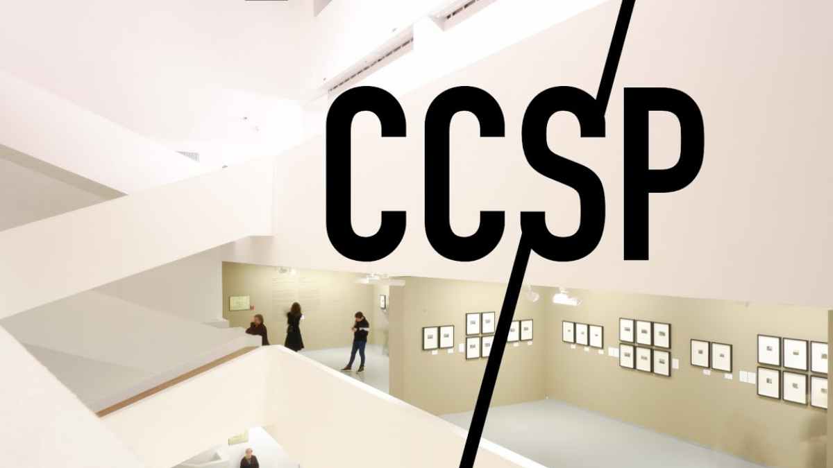 What Is CCSP Training And What Does It Entail