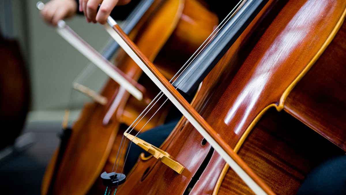 How to Choose a Cello String Set?