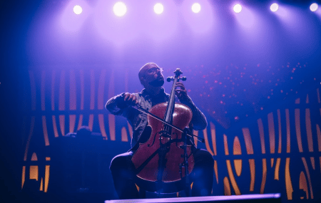 How to Choose a Cello String Set?