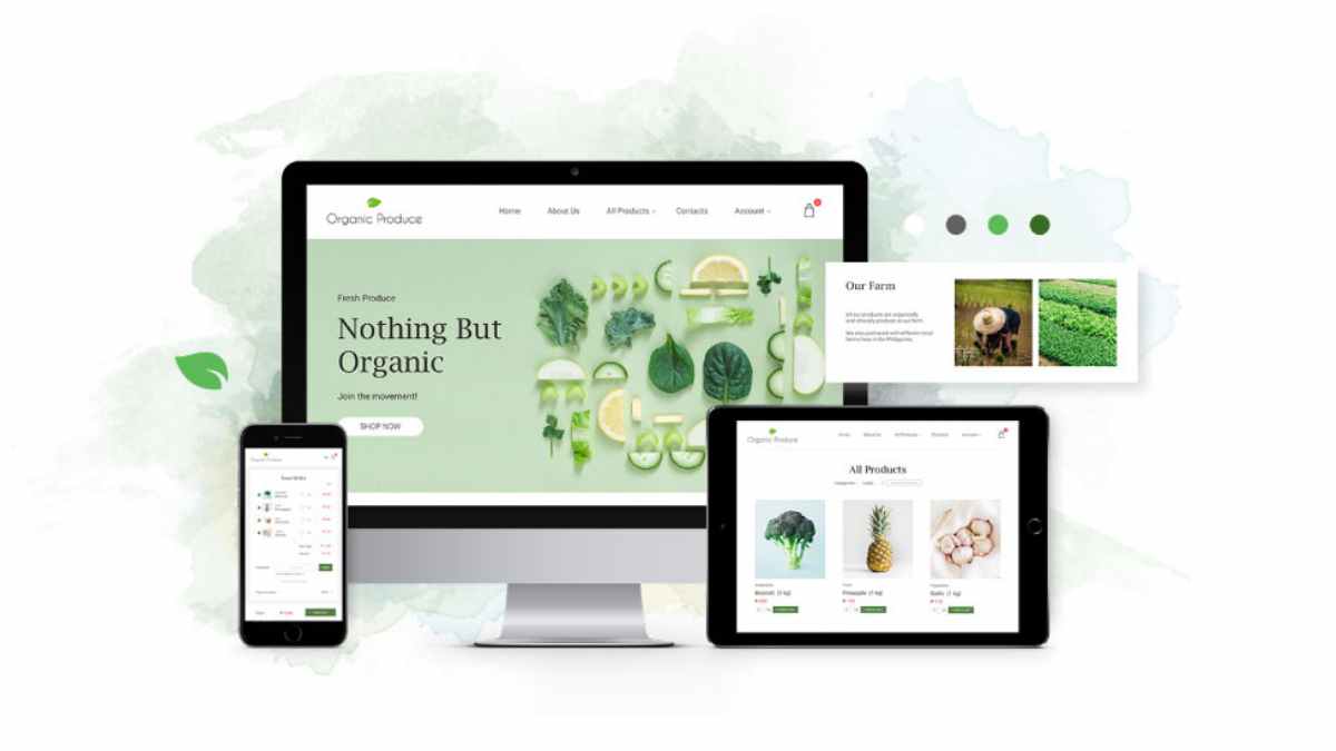 An Introduction To Website Packages For Your Business