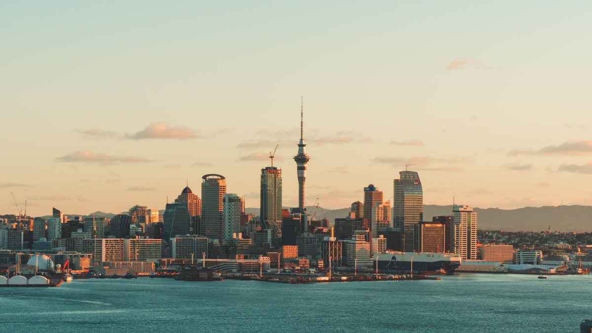 Demystifying New Zealand's PAYE System with a PAYE Calculator