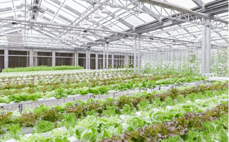 Determining LED Light Driver Failures: A Guide to Assessing Your System