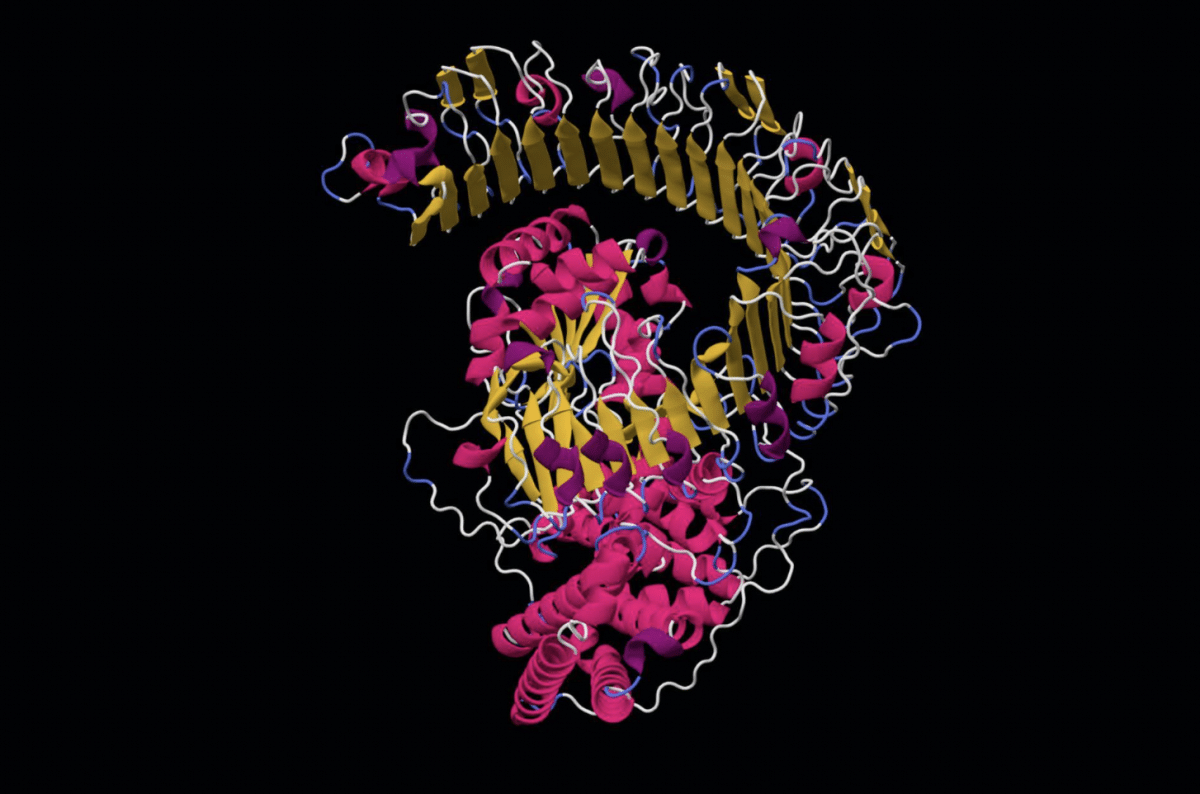Changing Currents of Peptide Drug Discovery