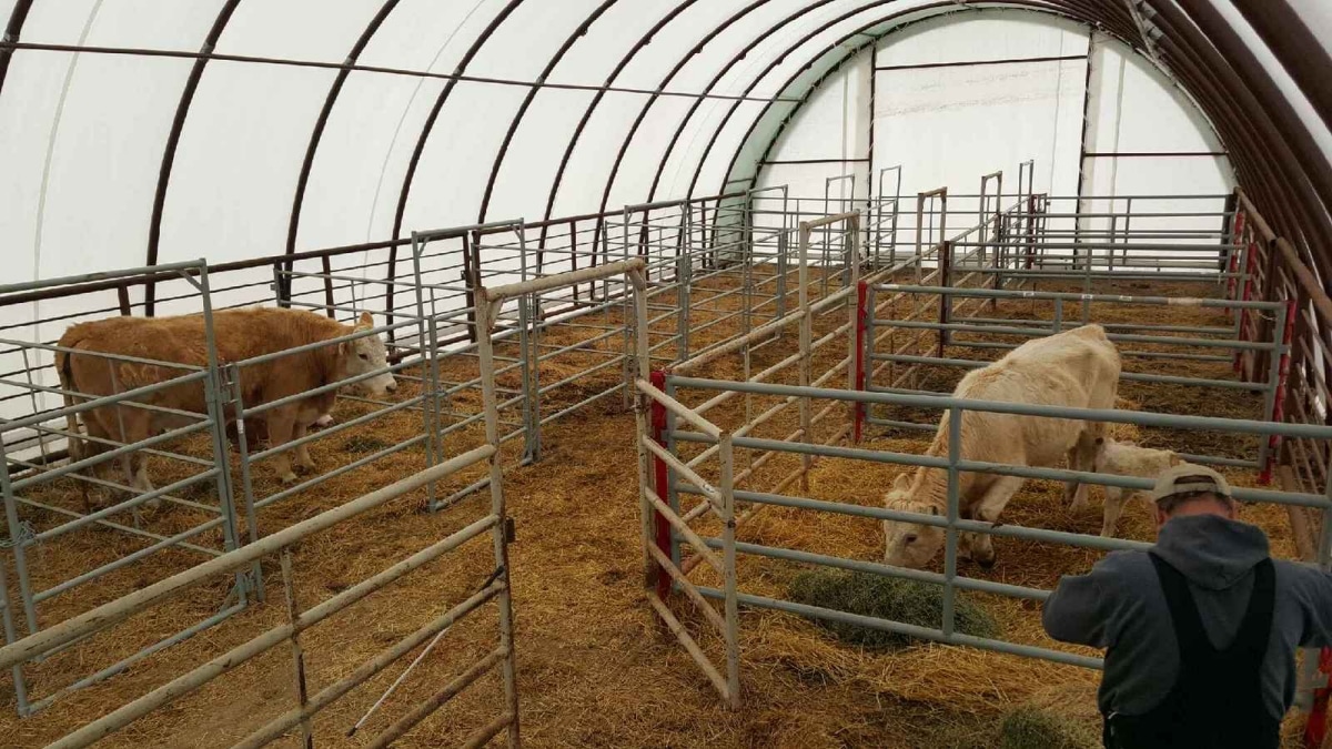 14 Tools and Technologies for Animal Barns