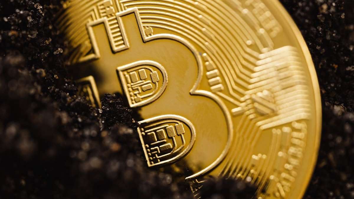 Navigating the Bitcoin Investment Landscape: A Macro Trend Analysis