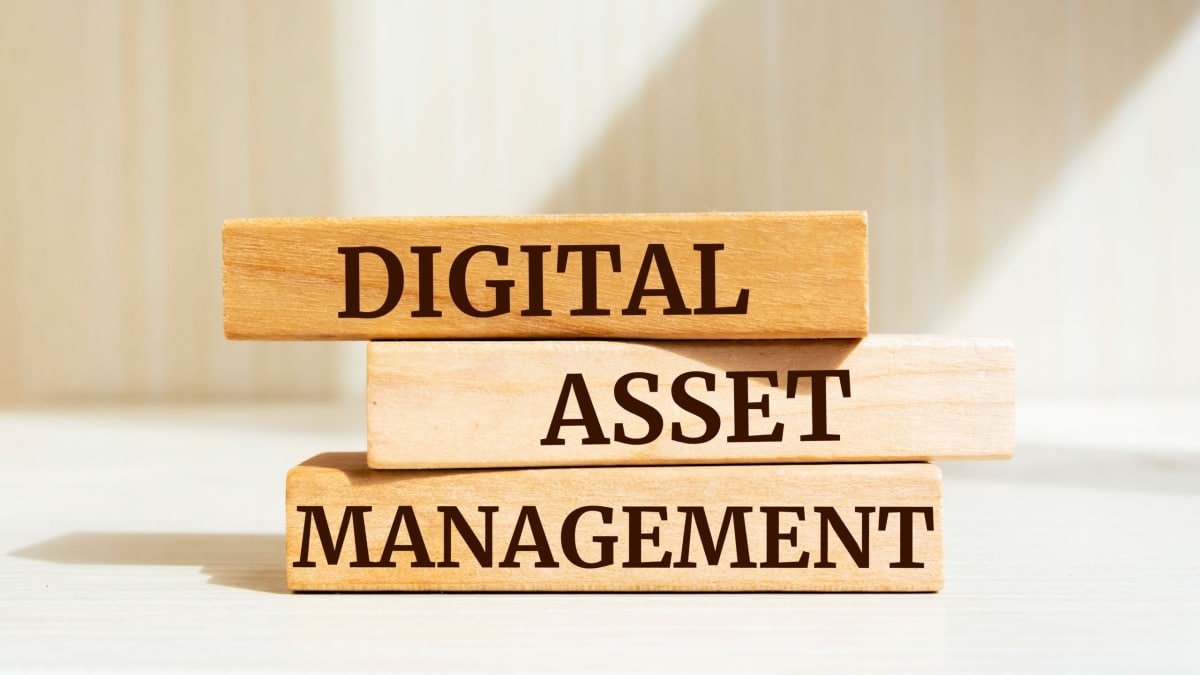 Digital Asset Management: What Is It & Why You Need DAM