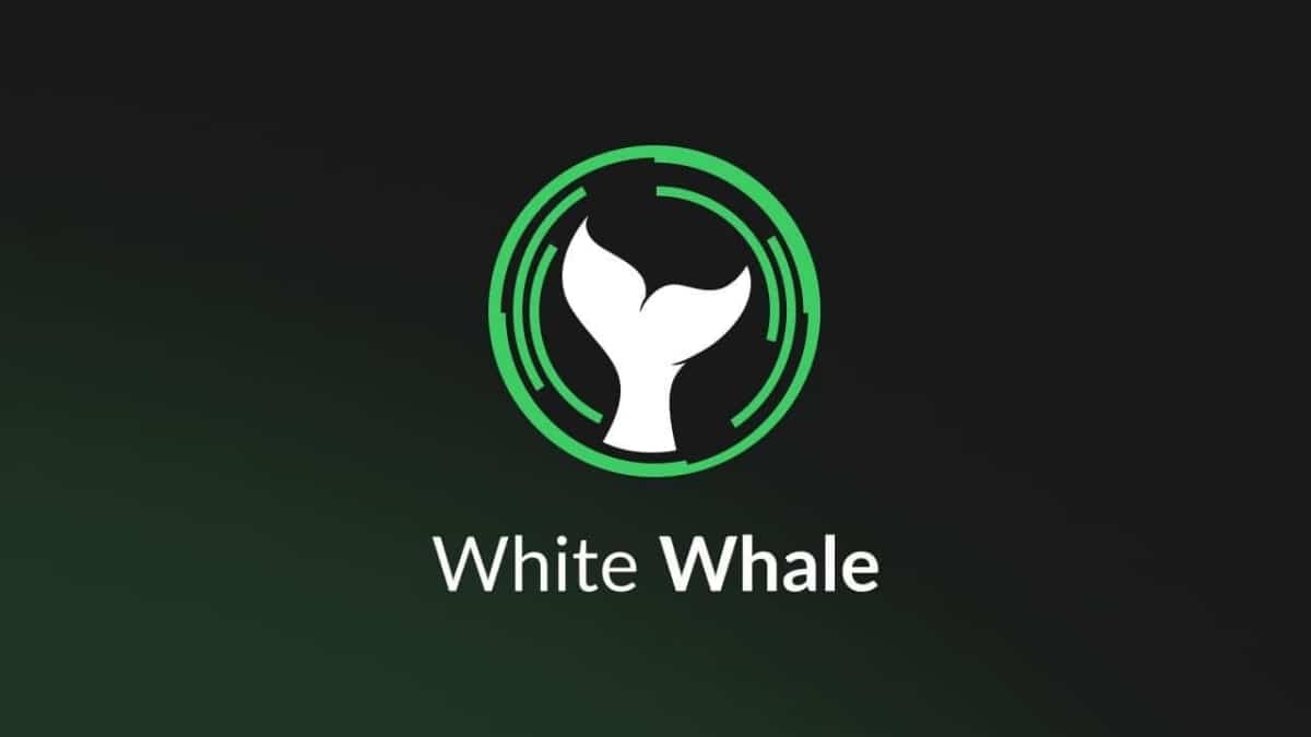Reasons Why White Whale Token is a Top Investment