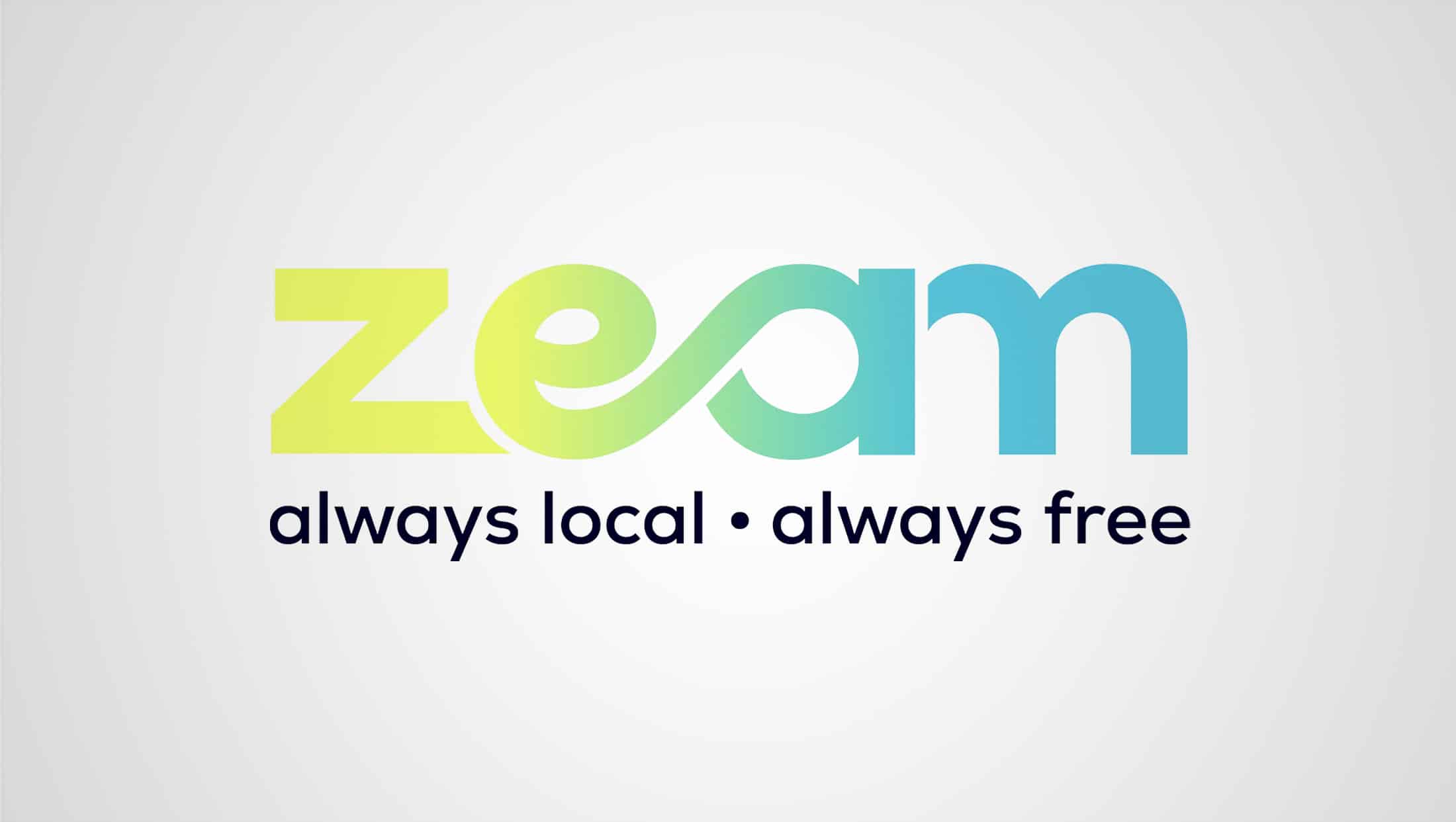 Zeam Roku: Discover And Elevate Your Binge Experience