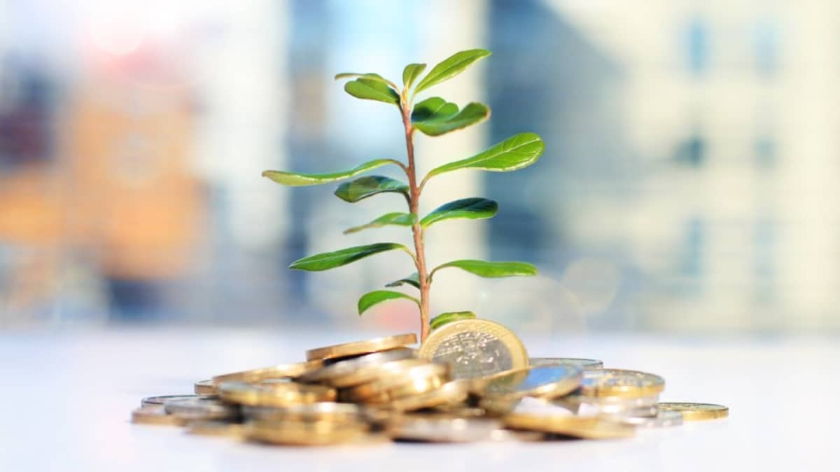 Good Investment Options You Should Consider for Financial Growth