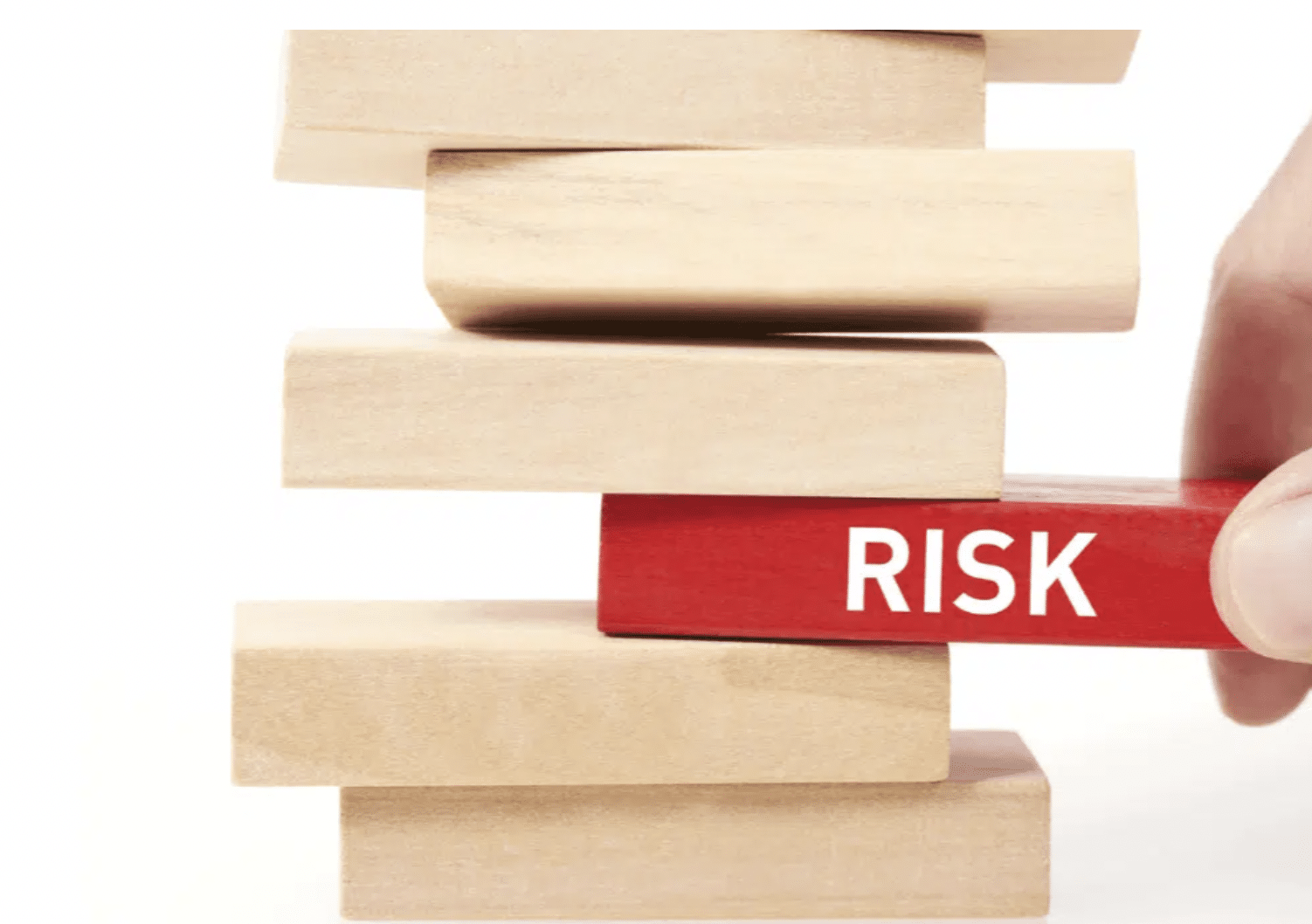 Business, Risk, and Profit: The Science of Bold Decision-Making