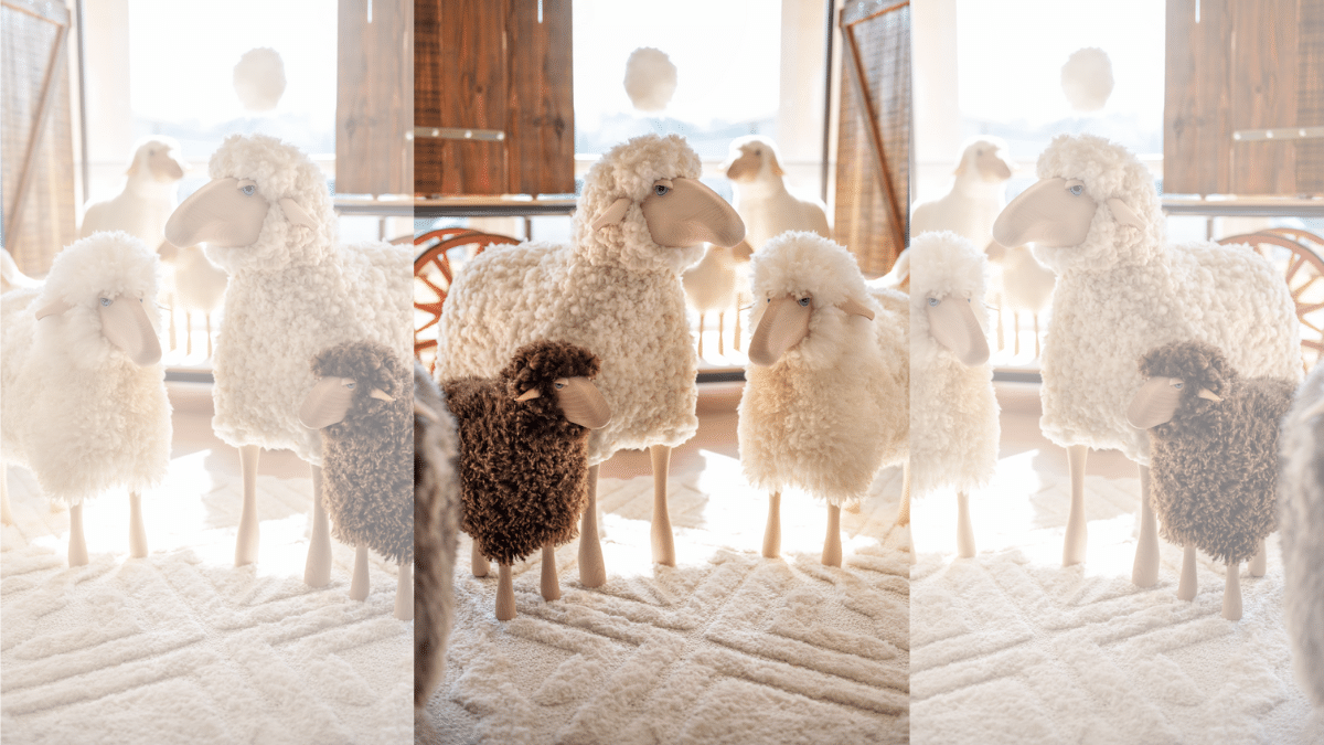 The Best Decorative Sheep