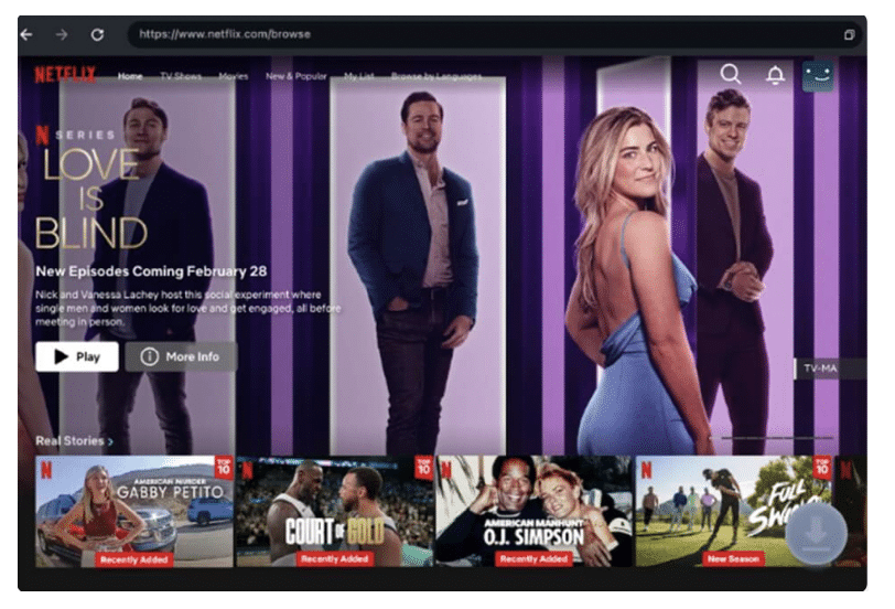 How to Watch Netflix Offline Without Internet